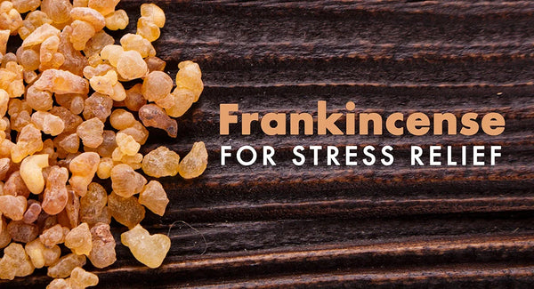 Harness the Power of Frankincense for Stress Relief